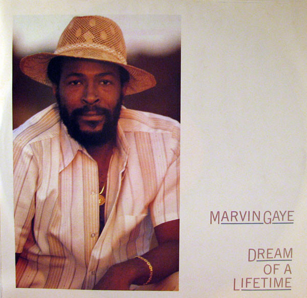 Marvin Gaye - Dream Of A Lifetime - Used Vinyl - High-Fidelity Vinyl ...